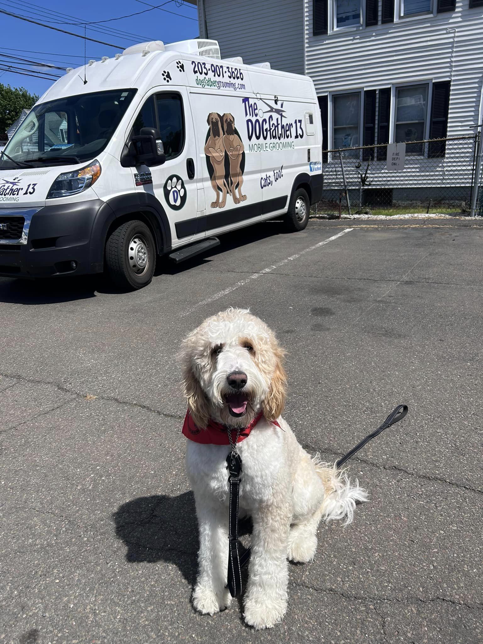 Danny The Fire Dog - West Haven Fire Department