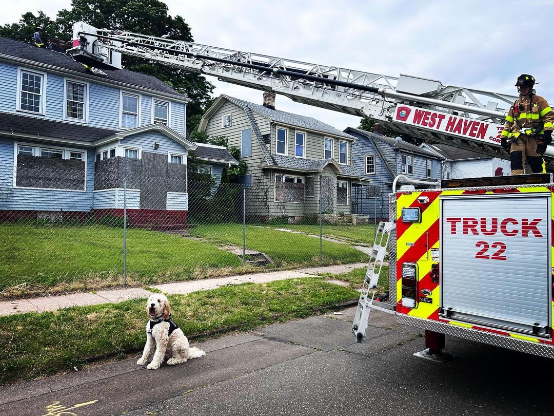 Danny The Fire Dog - West Haven Fire Department